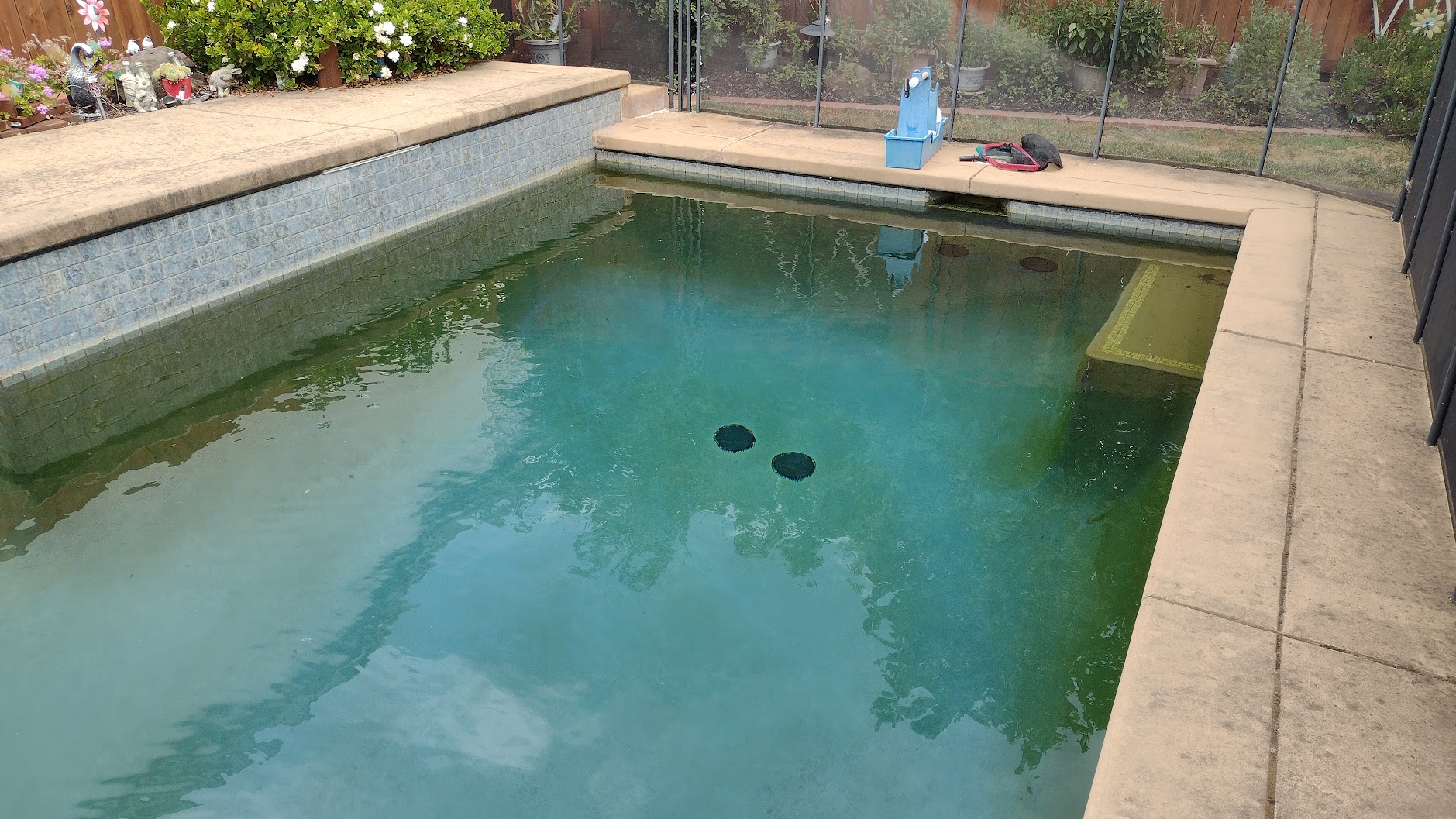 Phosphates in Folsom pool water - Mike the Poolman