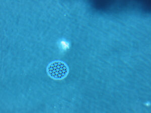 Broken Pool Plaster, Calcium Nodules, Plaster Delamination, Pop-Offs ...