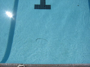 Broken Pool Plaster, Calcium Nodules, Plaster Delamination, Pop-Offs ...