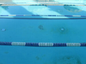 Broken Pool Plaster, Calcium Nodules, Plaster Delamination, Pop-Offs ...