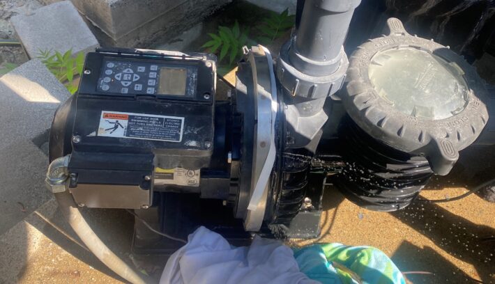 Cracked and Leaking Sta-Rite pool pump - Mike the Poolman