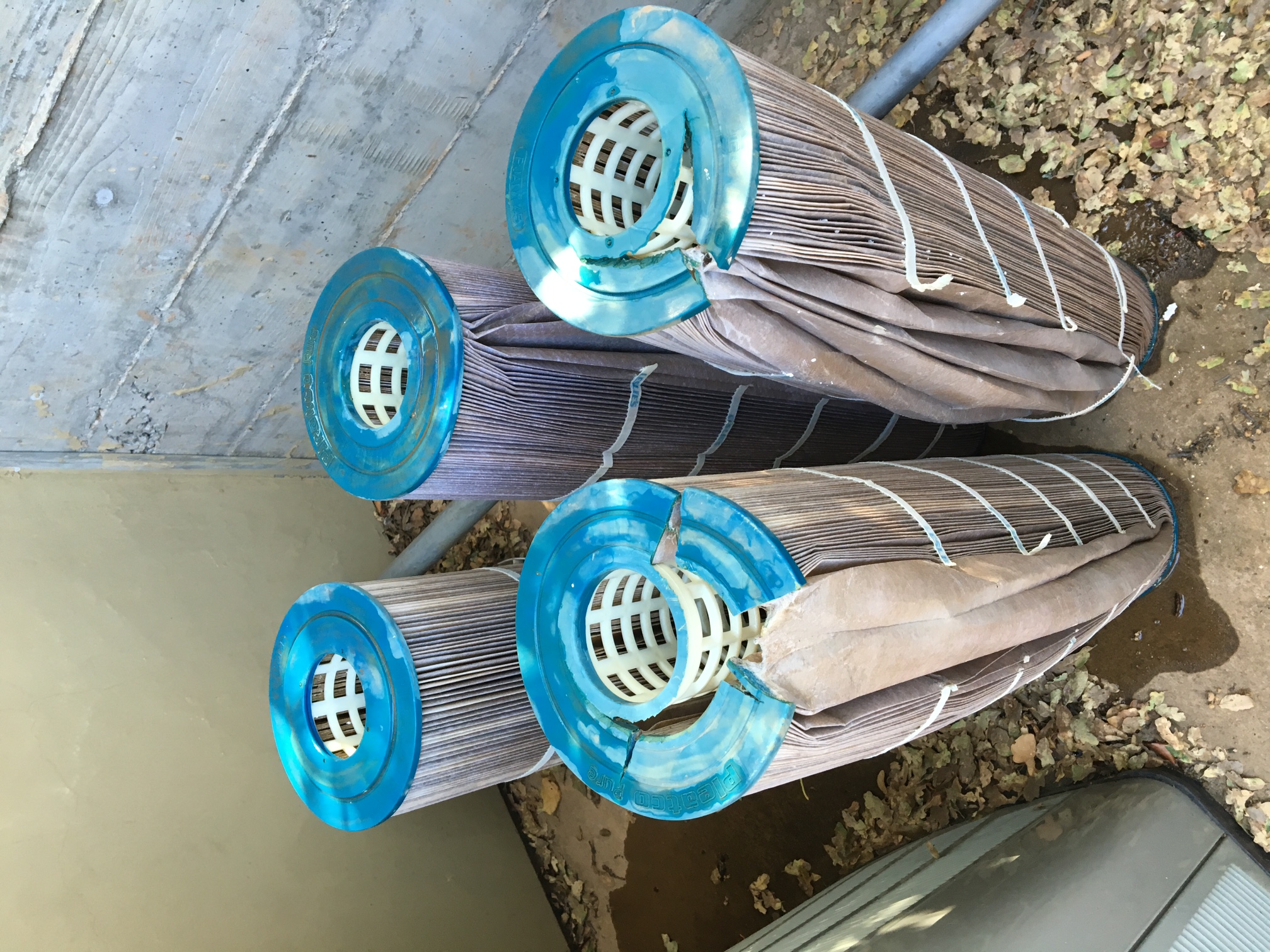 Mike's Wall of Shame - Photos of Poorly Maintained Swimming Pools